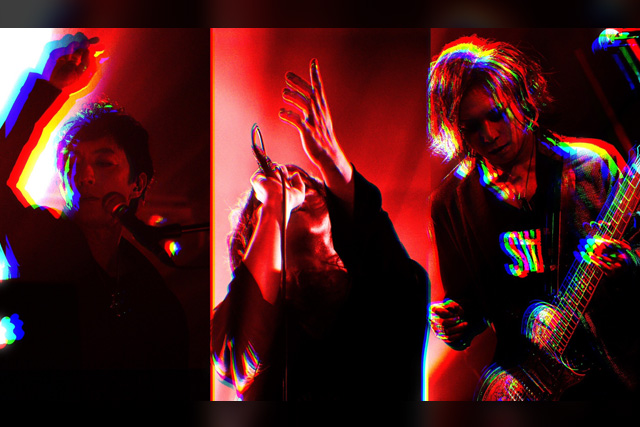 NUL. OFFICIAL WEBSITE